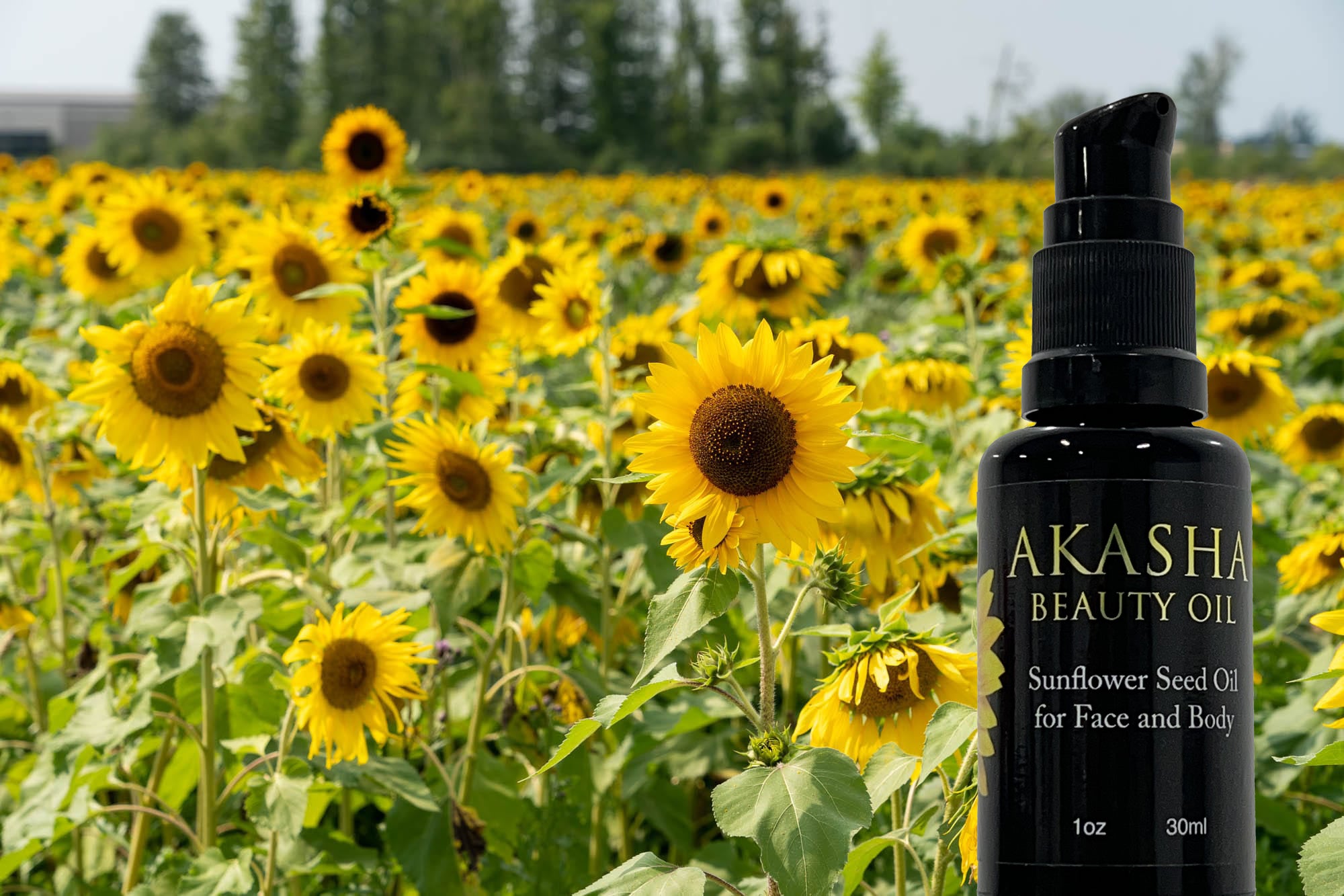 Akasha Beauty Oil